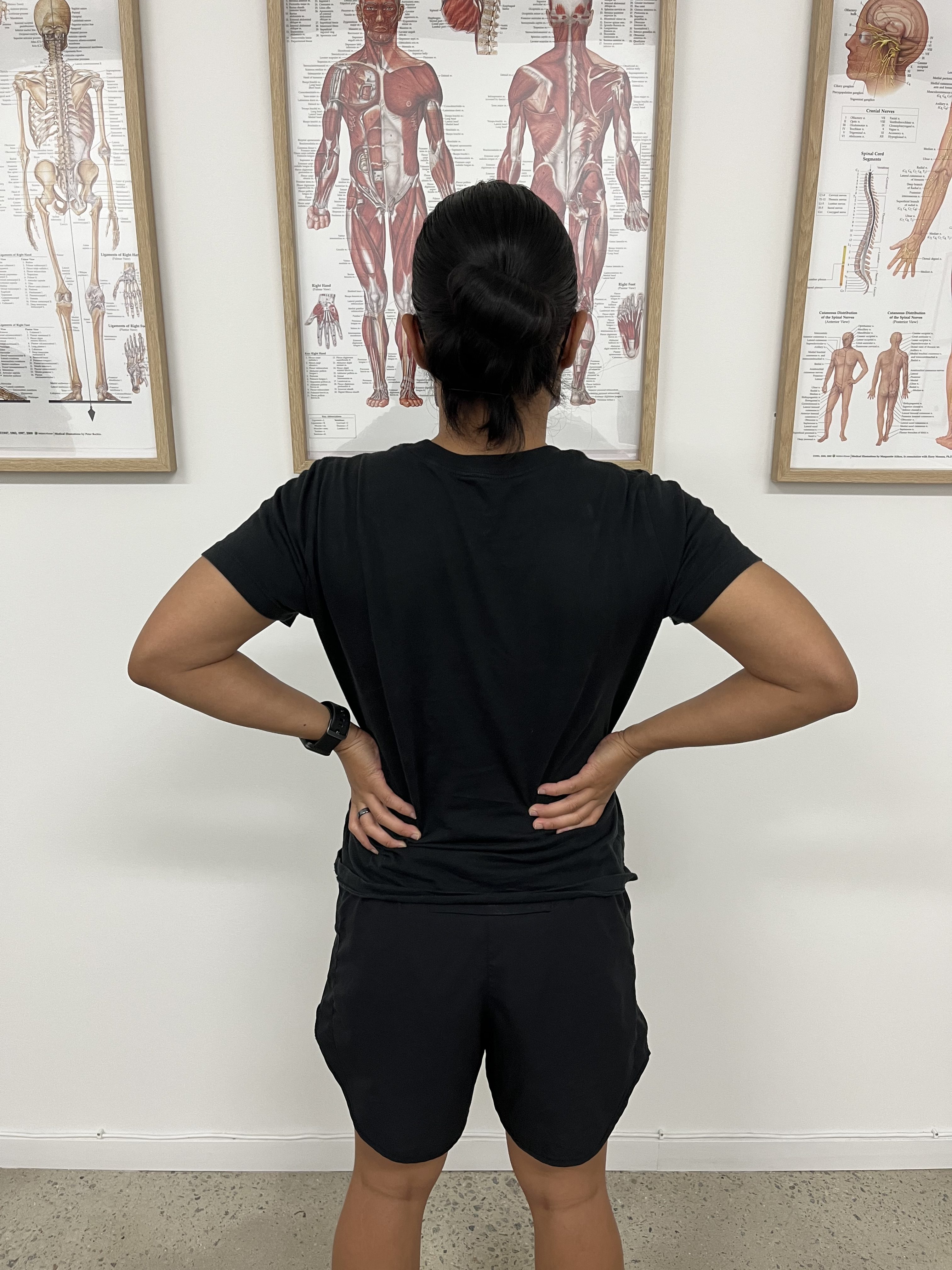 Pelvic Pain - Examination, Diagnosis & Treatment options.